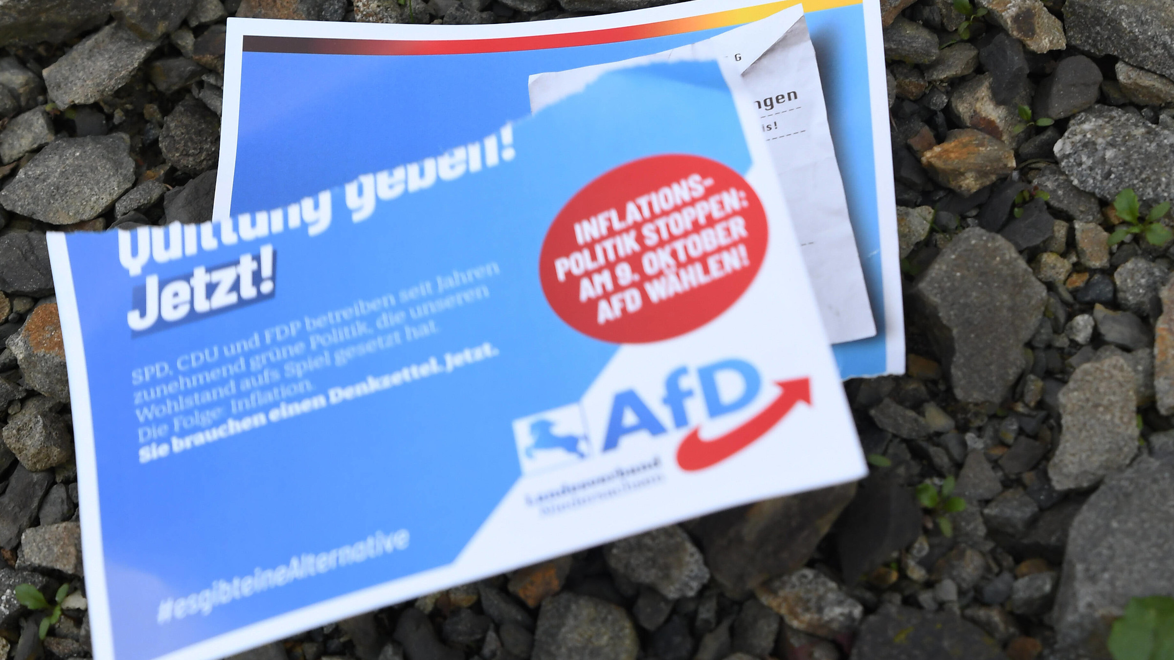 AfD - Kriegsgewinnende | Campact