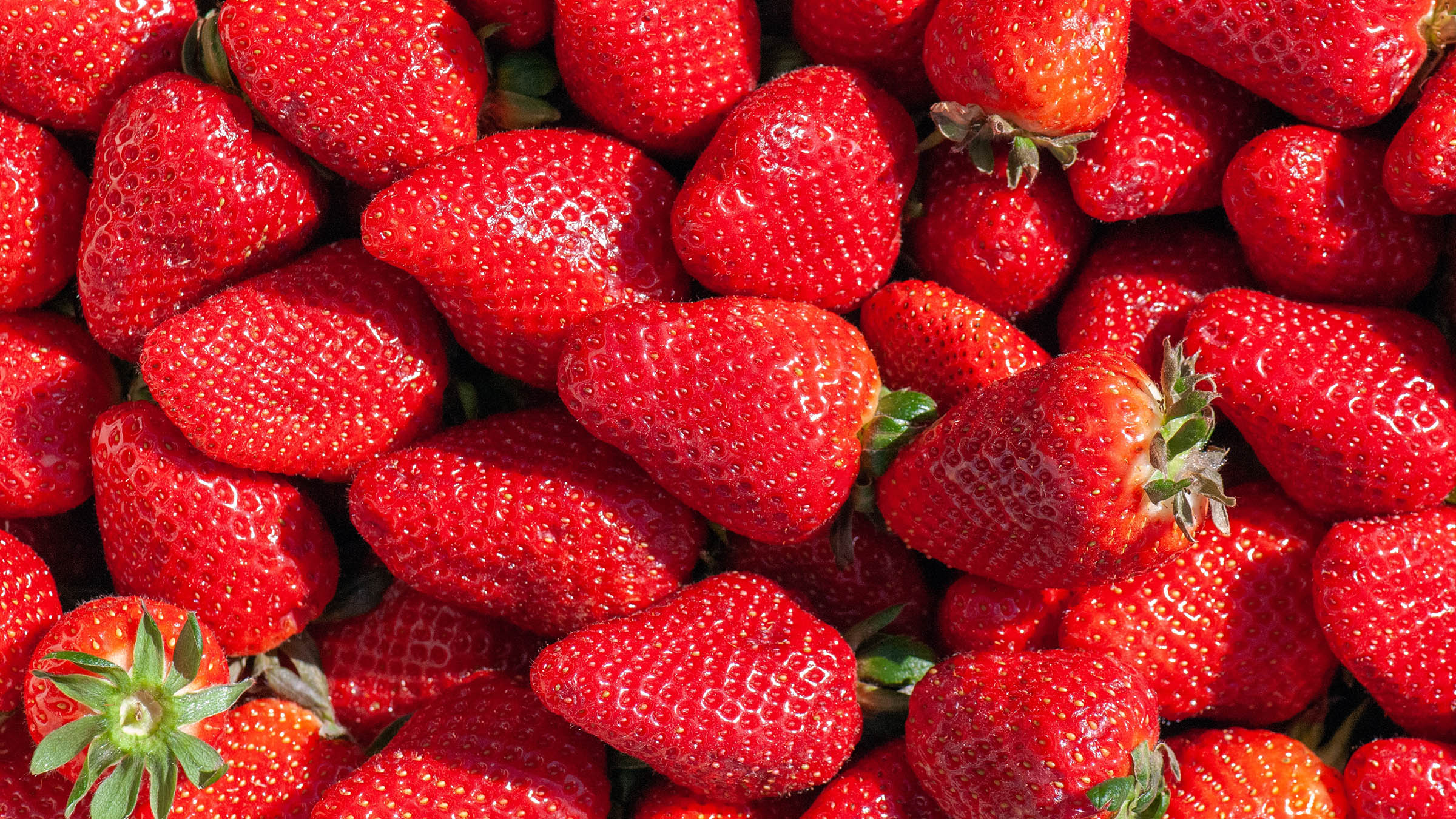 Erdbeeren & Co: Wie viel Wasser verbrauchen diese Lebensmittel