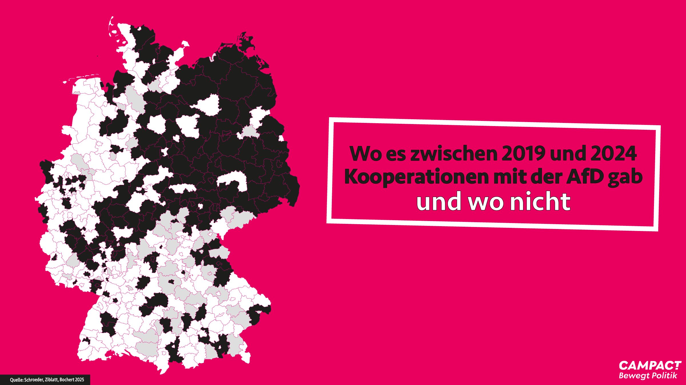 Die treuen Gehilfen der Rechtsextremen | Campact