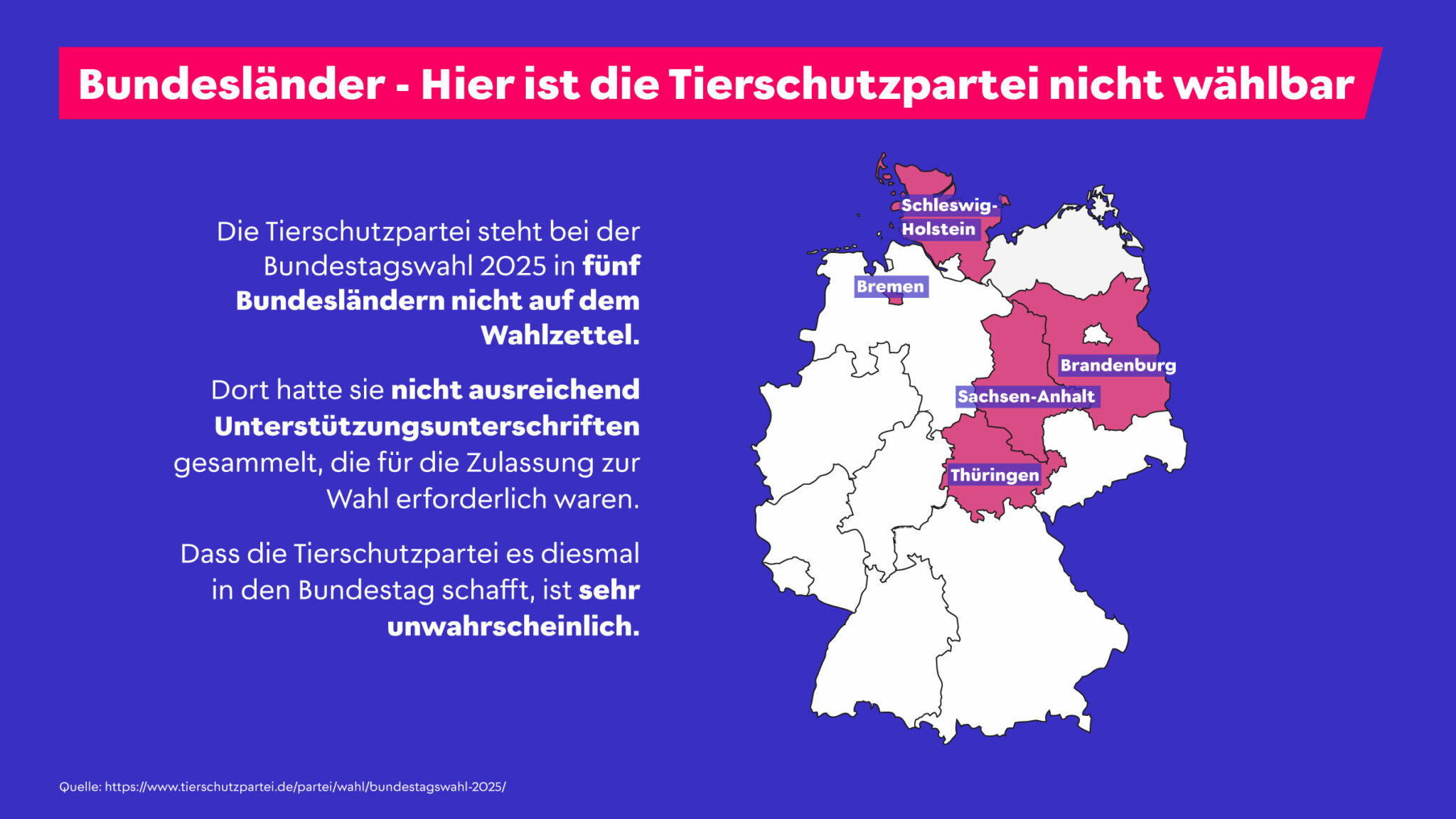 Chance der Tierschutzpartei bei der Bundestagswahl | Campact